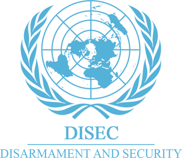 DISEC - Arab Youth International MUN