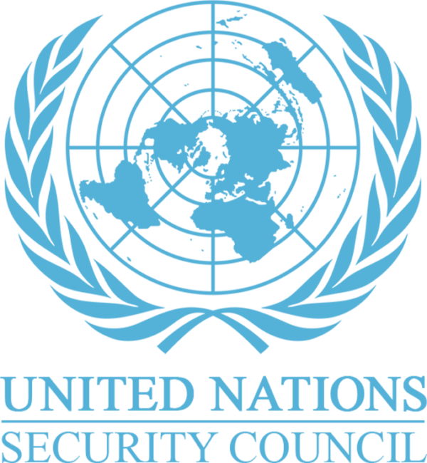 UNSC - Arab Youth International MUN